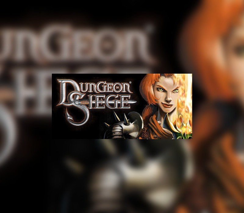 Dungeon Siege Complete PC Steam Gift - Gaming Hunks